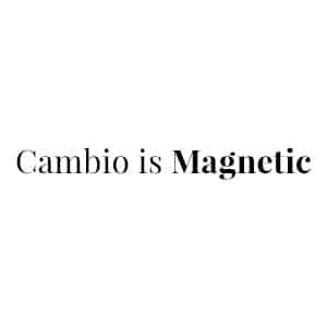 Cambio-is-magnetic | Windfall + Cambio